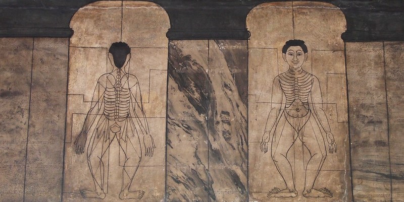Ten Sen Energy Lines in Thai Massage | 10 Gates of the Body Ten Sen Energy Lines in Thai Massage | 10 Gates of the Body